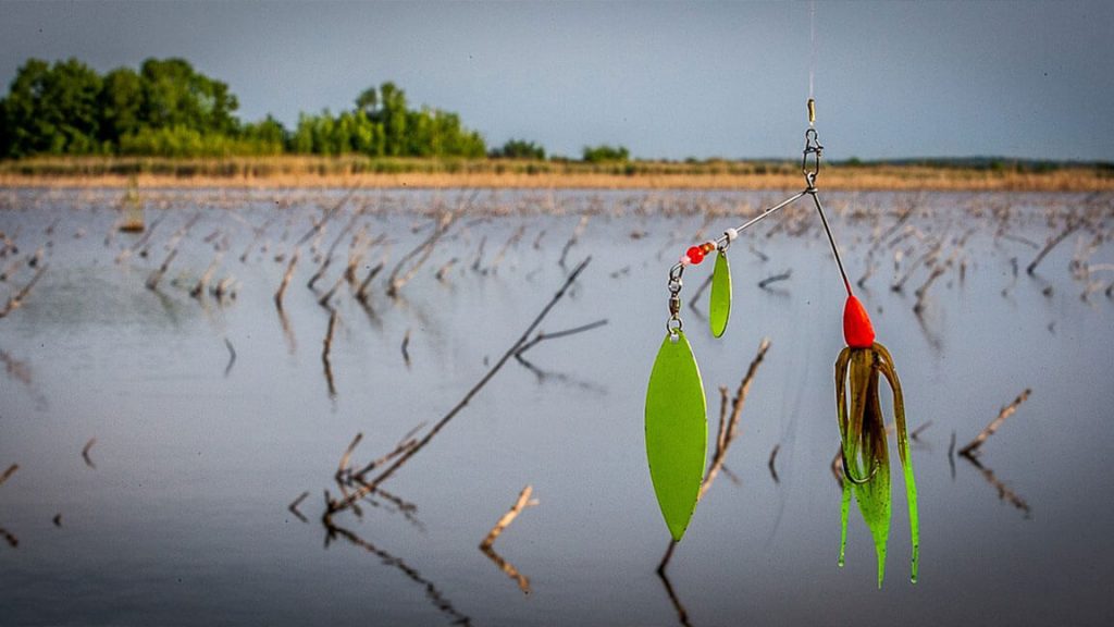 10 Best Trout Fishing Lures (2025 Reviews)