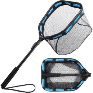 Best Fly Fishing Nets for 2025 | Top Picks for Every Angler - Official ...