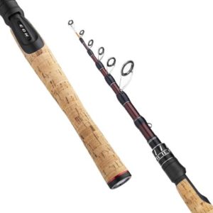 10 Best Travel Fishing Rods (2025 Reviews)